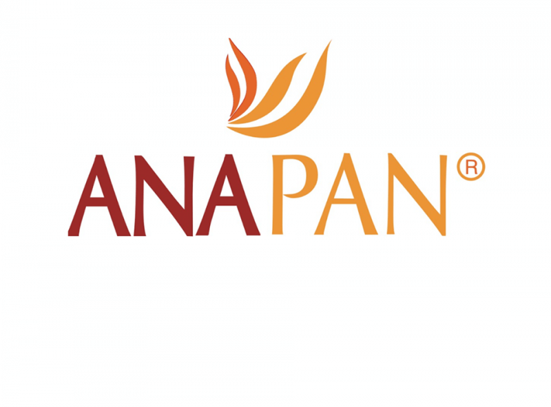 ANA PAN - IMTECH TECHNOLOGY